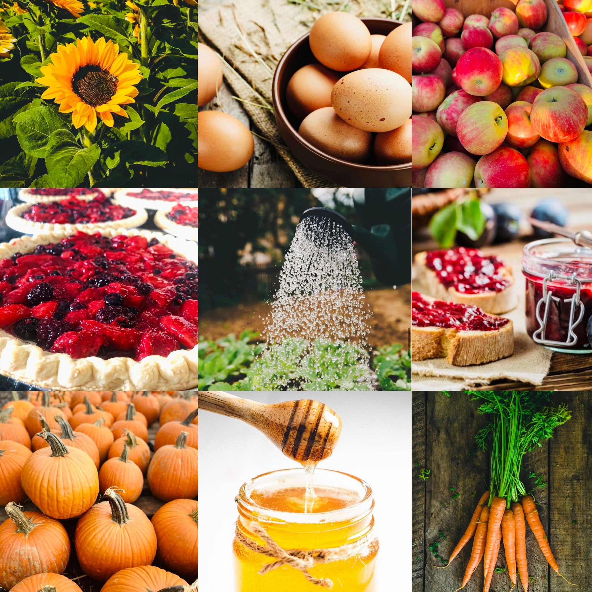 Discover our best variety of Local and Fresh produce – Dobler Farms